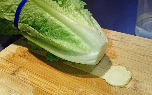 Make Lettuce Immortal Again – alia.link